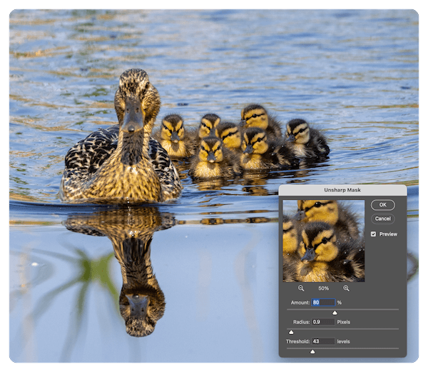 How To Sharpen A Photo: Turn Blurry Images Into Stunning Photos
